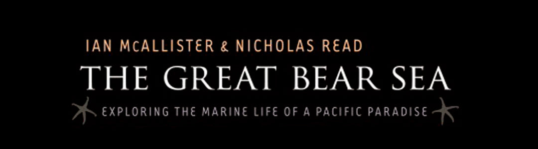 Orca Great Bear Rainforest Series Video Review – Kinder Books
