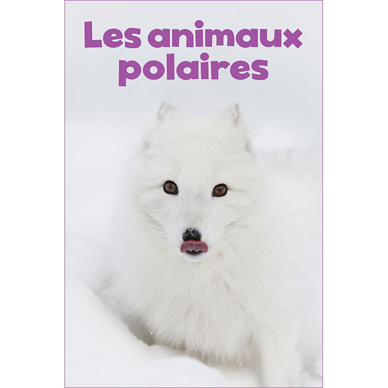 Les animaux polaires – Kinder Books